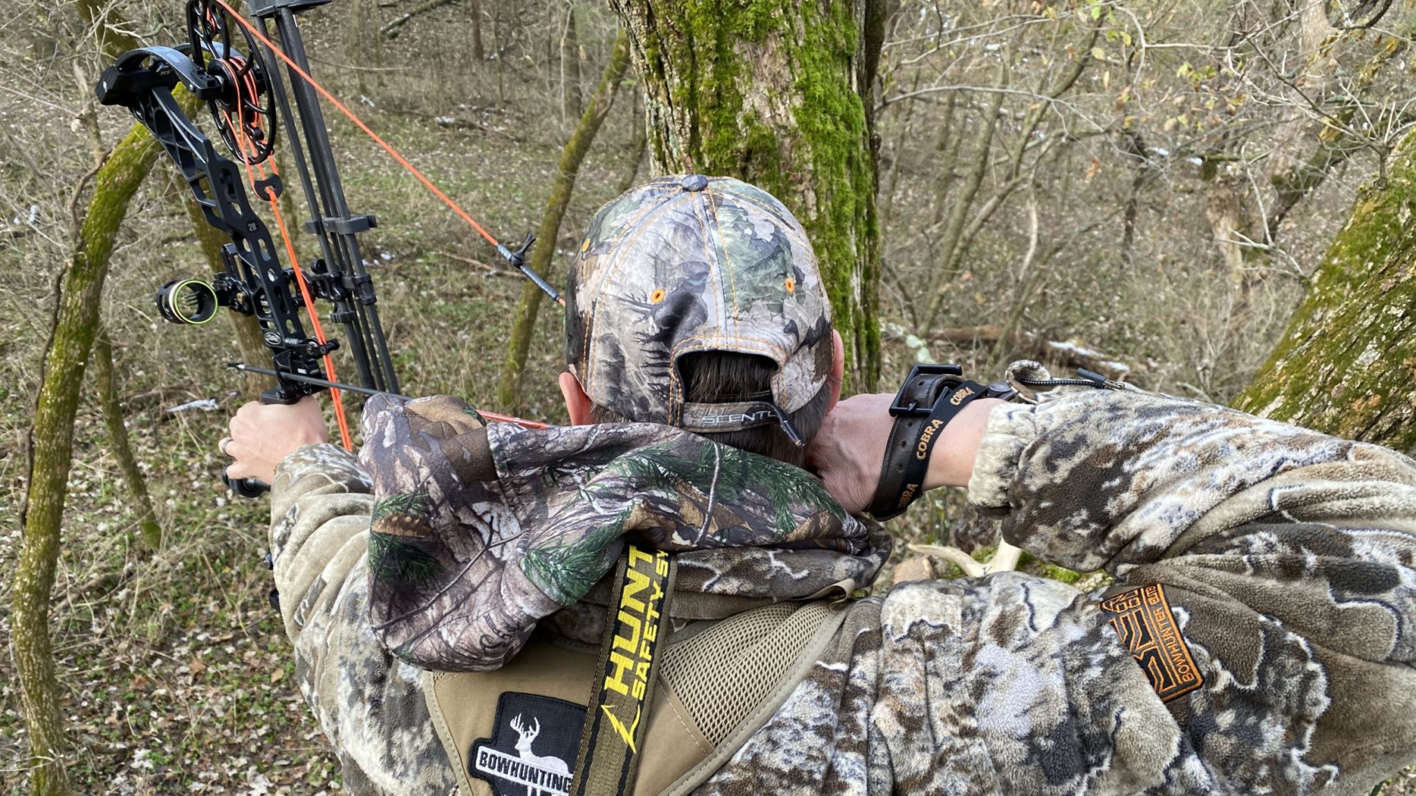 Understanding Compound Bows