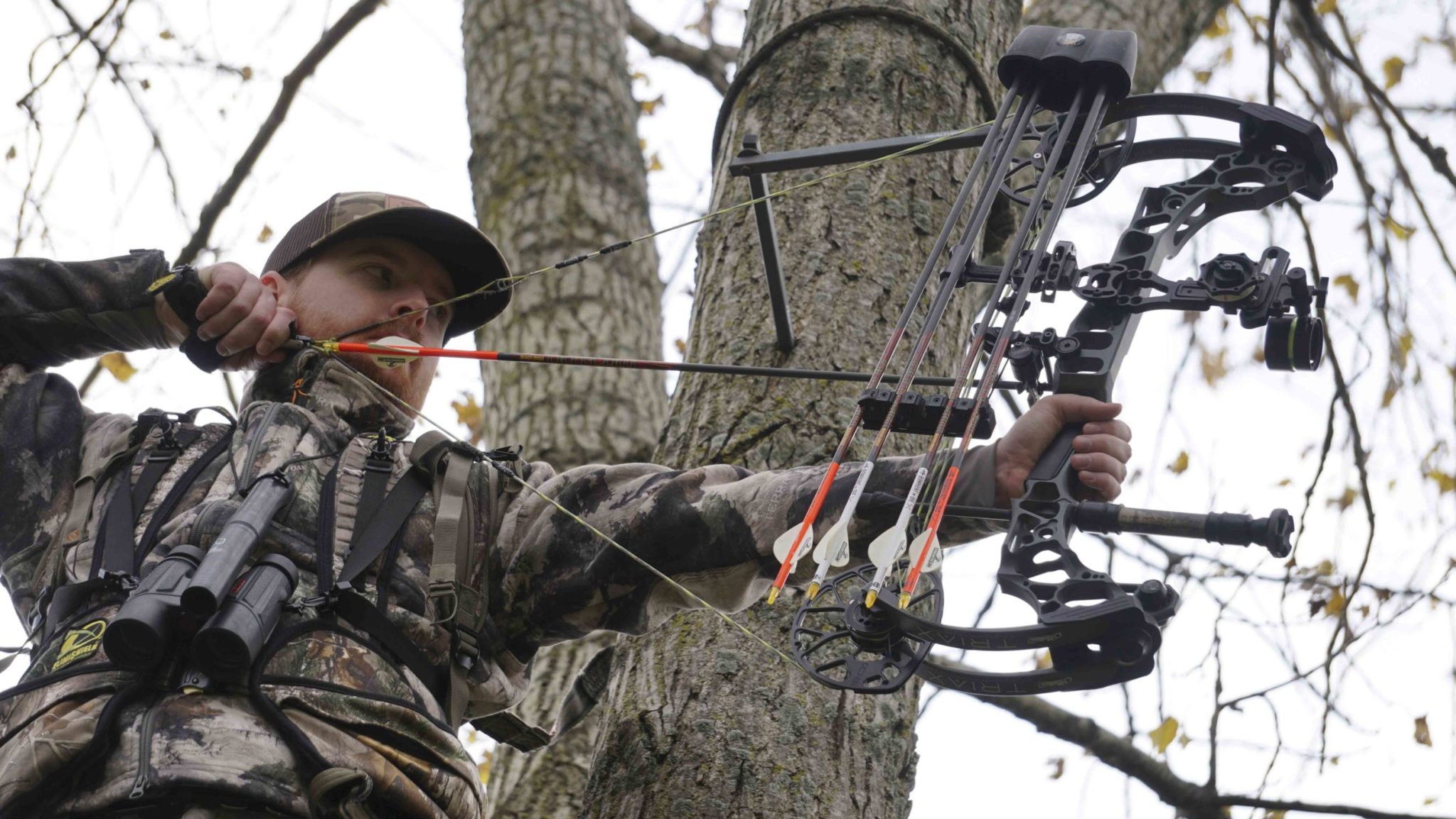 Understanding Compound Bows