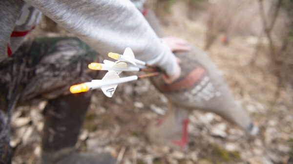 Finding The Perfect Arrow