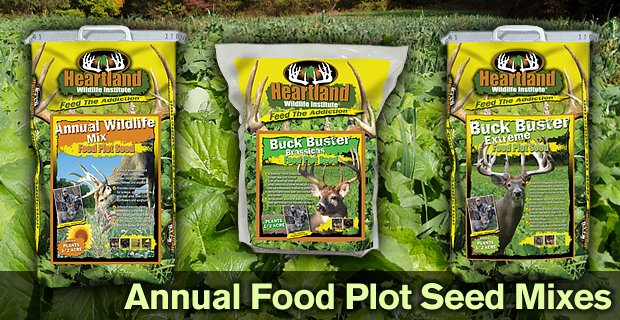 Food PLot Construction: Part 3 Forage Selection