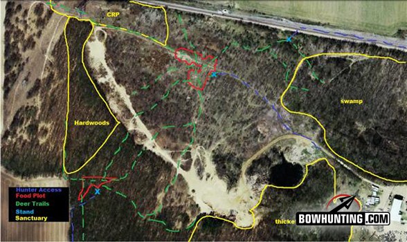 FOOD PLOT CONSTRUCTION PART 2: Property Layout and Location