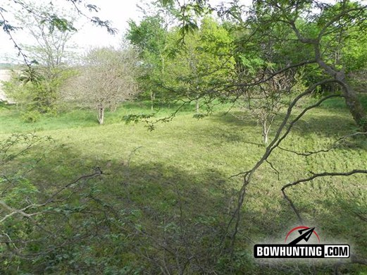 FOOD PLOT CONSTRUCTION PART 2: Property Layout and Location