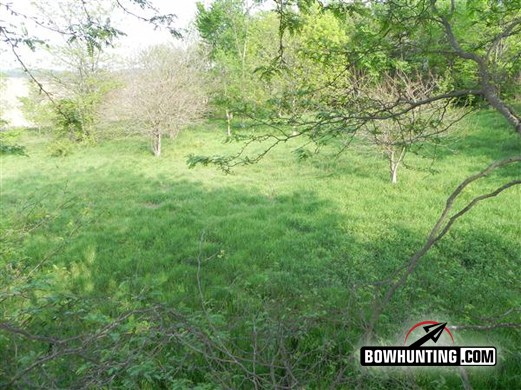 FOOD PLOT CONSTRUCTION PART 2: Property Layout and Location