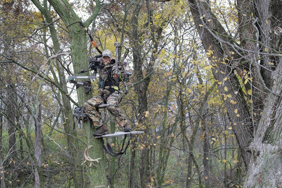 Learn The Basics of Whitetail Hunting