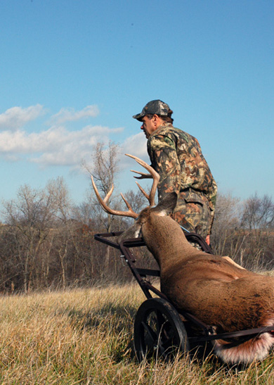 CWD Worsens to Record Levels in Wisconsin