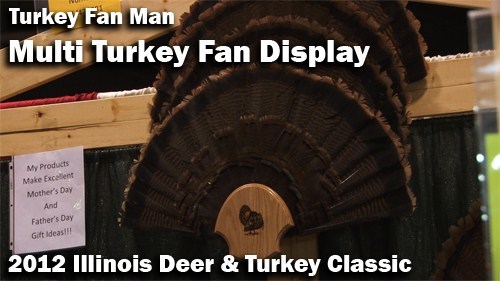 Turkey Fan Man Multi Turkey Fan Display