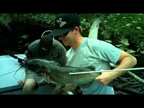 Bowfishing Big Catfish in Florida | Bowhunting Videos