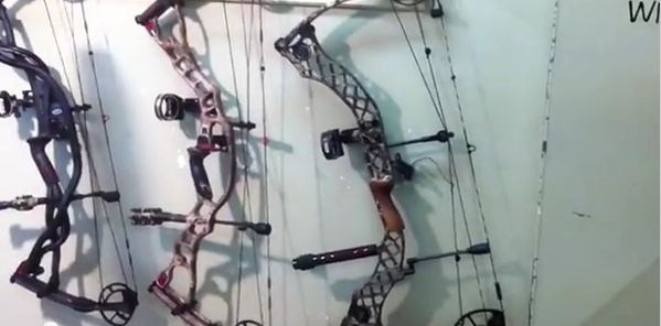 Mathews HeliM vs Hoyt Element vs Hoyt Vector