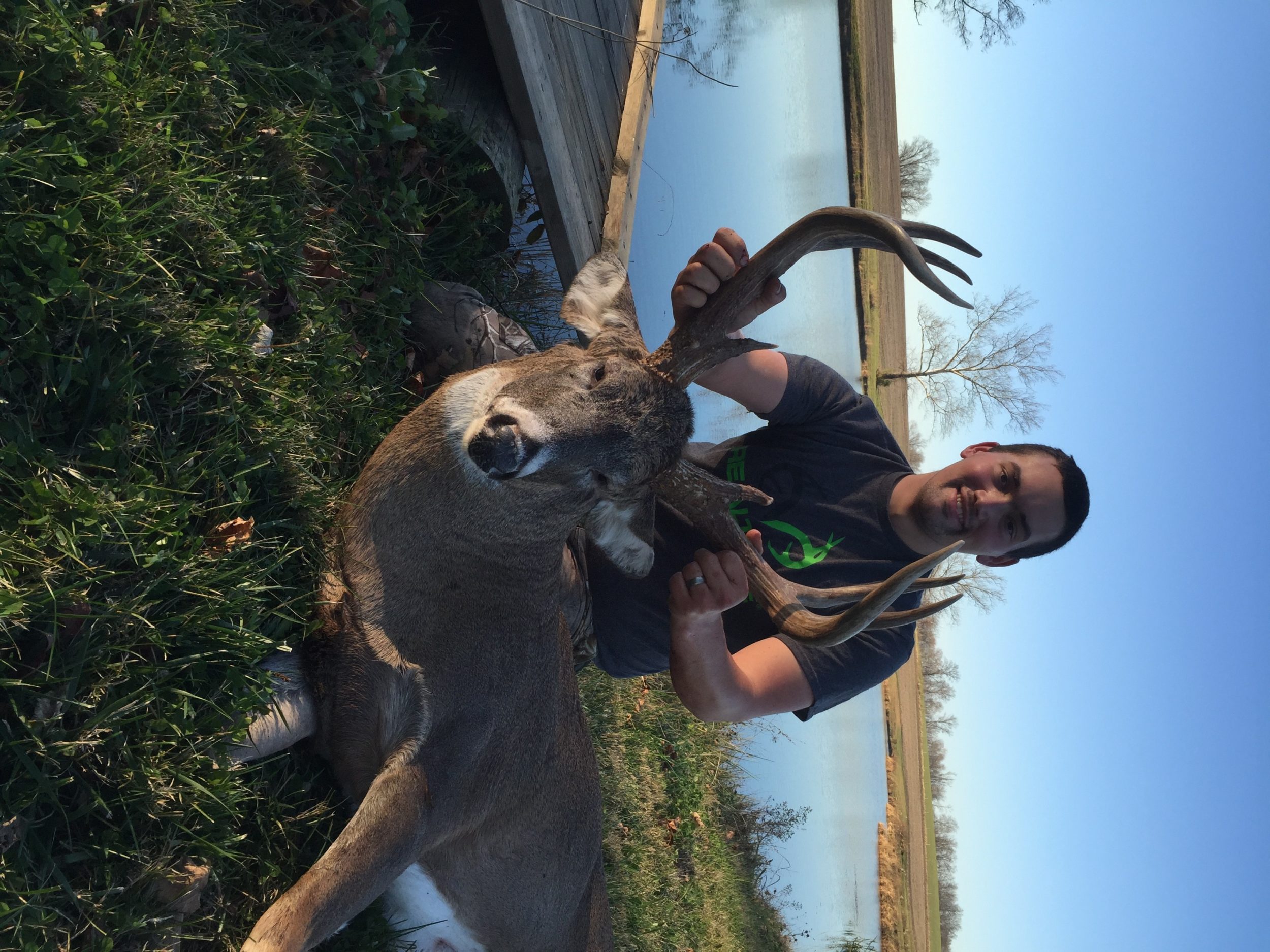 145 - Whitetail Deer in Ohio by Travis Brewer | Bowhunting.com