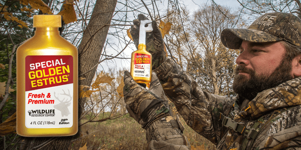 7 Deadly Deer Scents For 2016 | Bowhunting.com