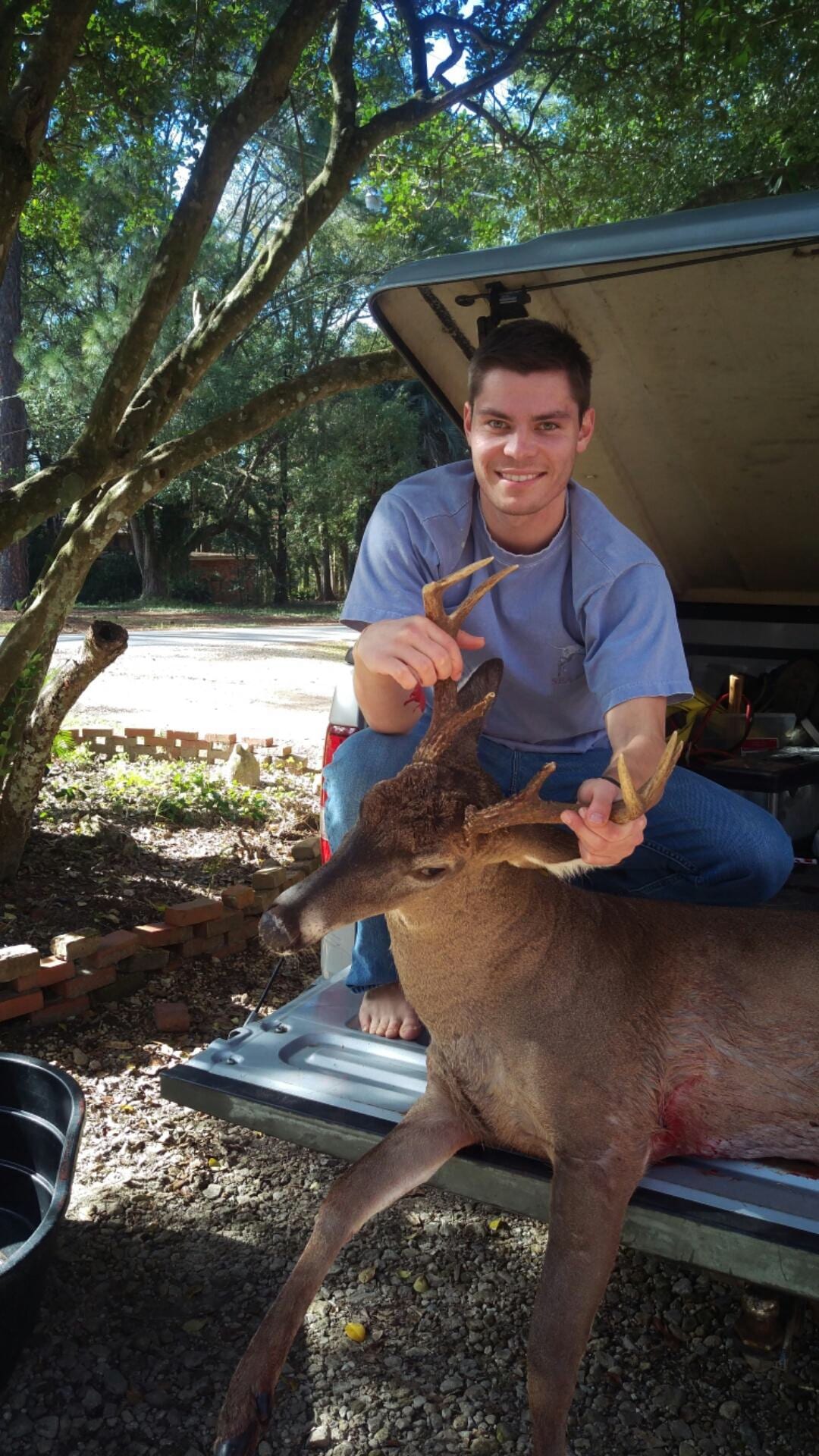 N/A - Whitetail deer 8 point buck in Quincy, Florida by Blair ...