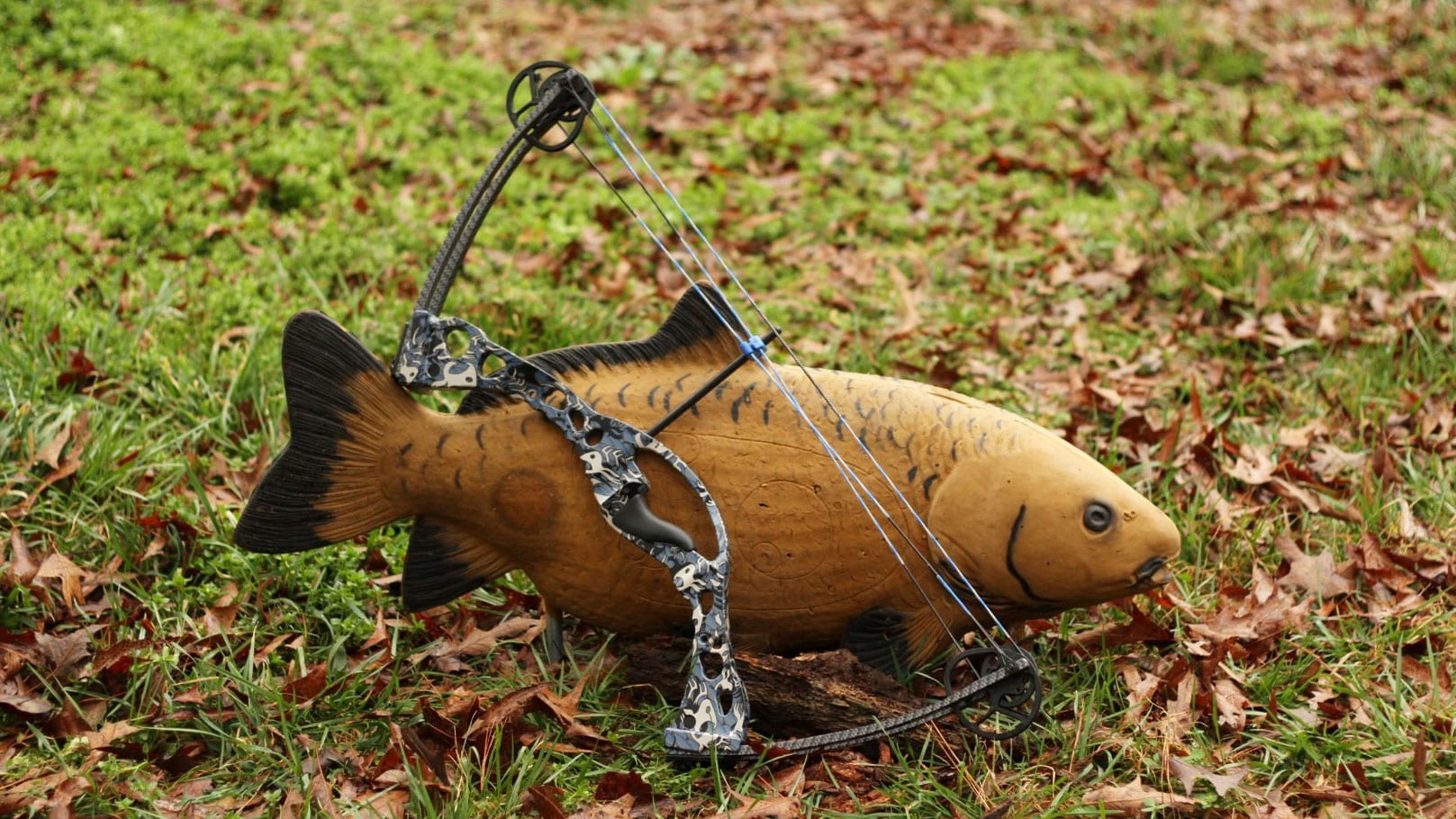 Fin-Finder Poseidon Bowfishing Bow Review | Bowhunting.com