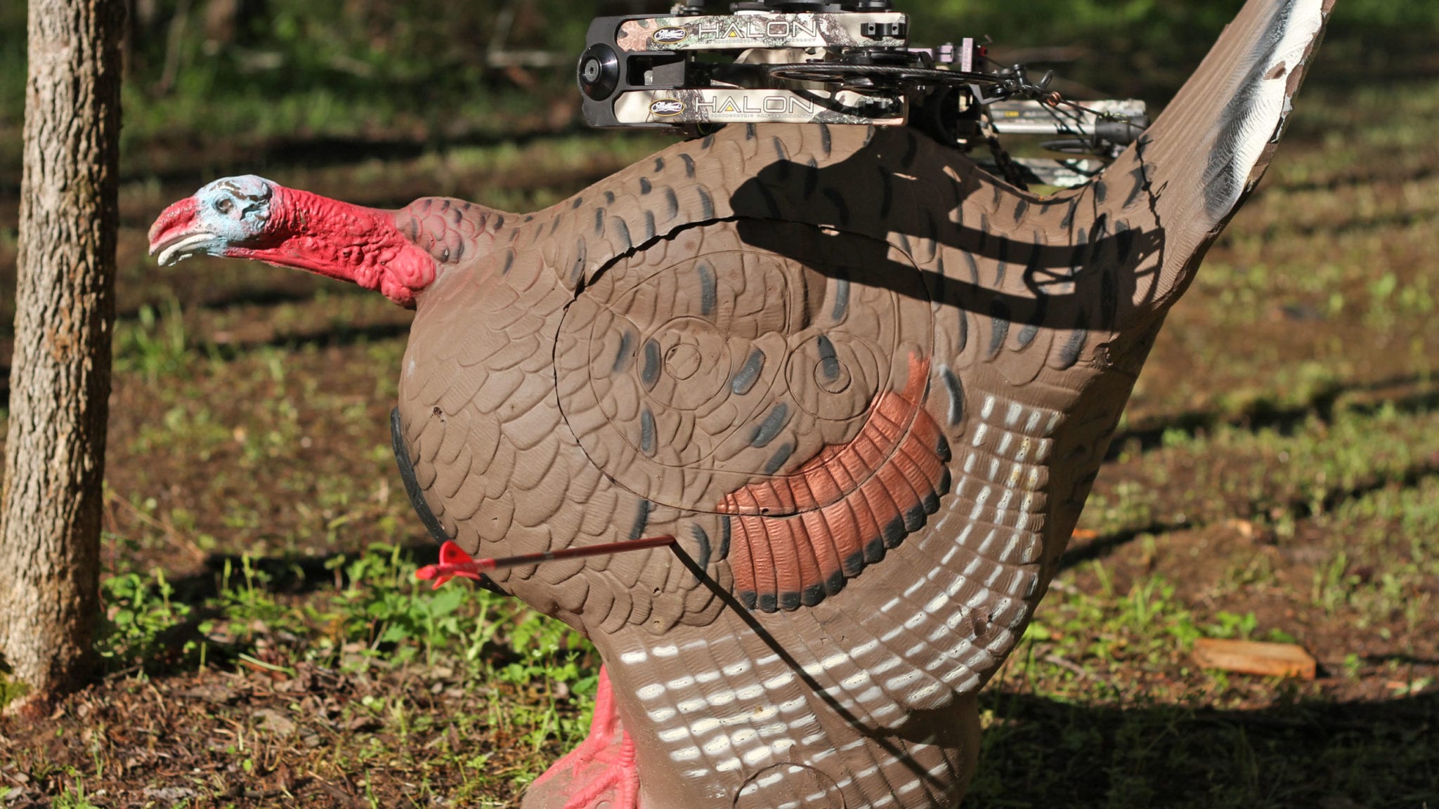 Kill Every Bird You Shoot At With These Simple Steps for Bowhunting ...