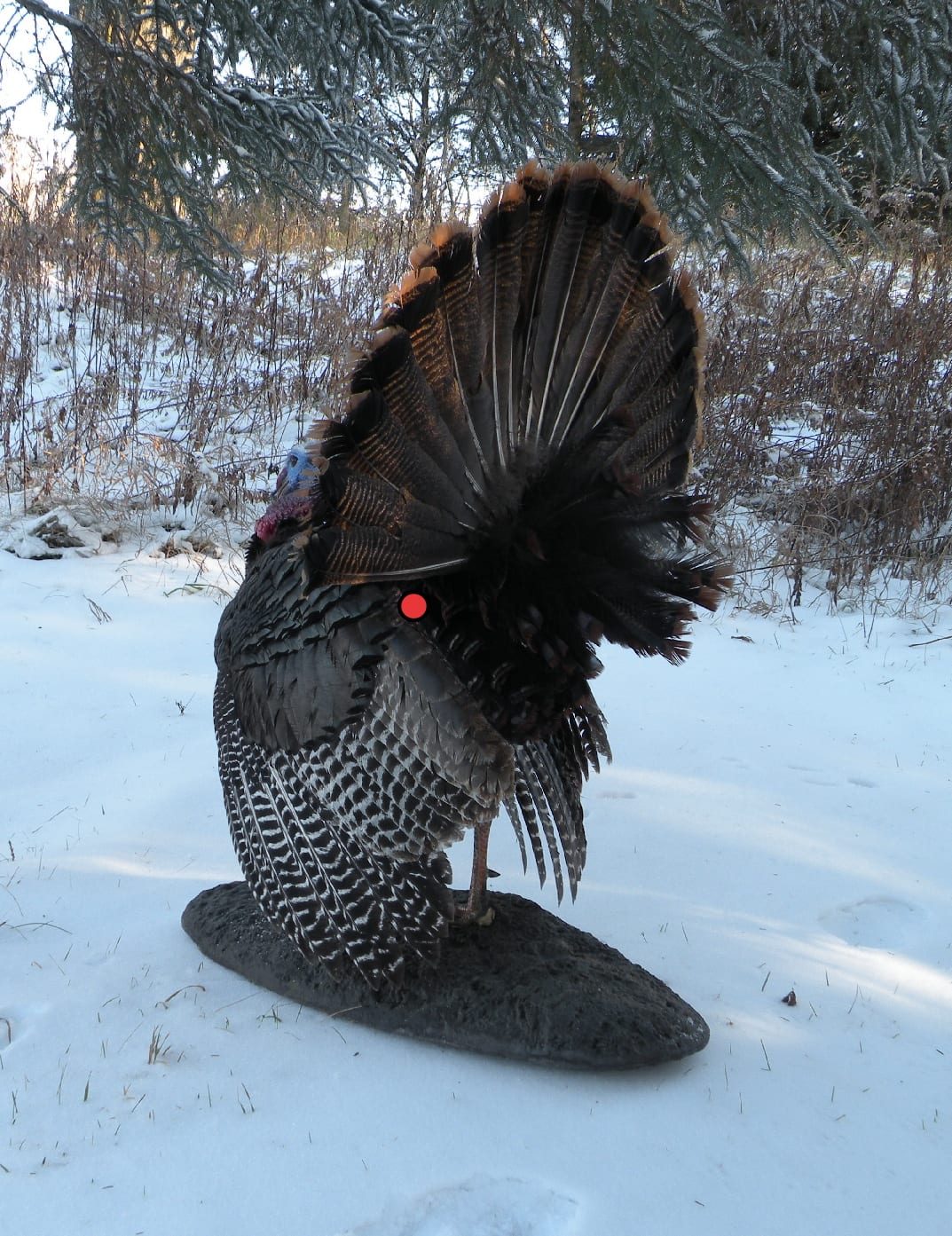 Kill Every Bird You Shoot At With These Simple Steps for Bowhunting ...