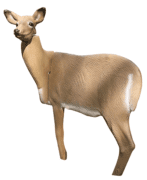 Rinehart Turns Heads With Motion-Focused Whitetail Doe Decoy ...