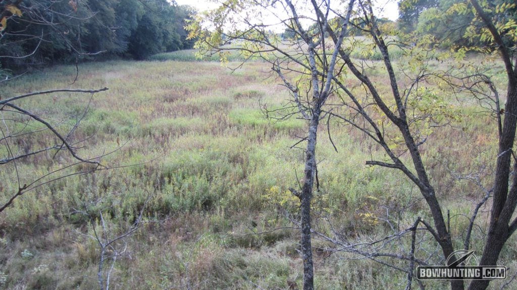How To Create the Perfect Kill Plot | Bowhunting.com