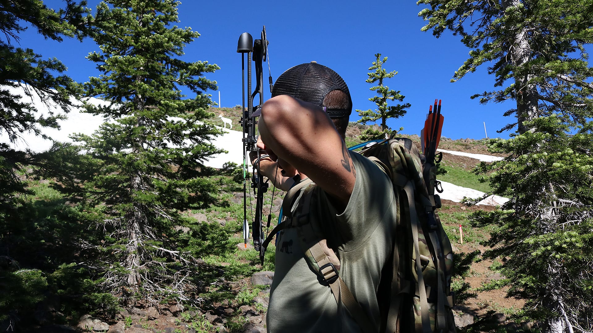 Elite Impulse Bow Review | Bowhunting.com