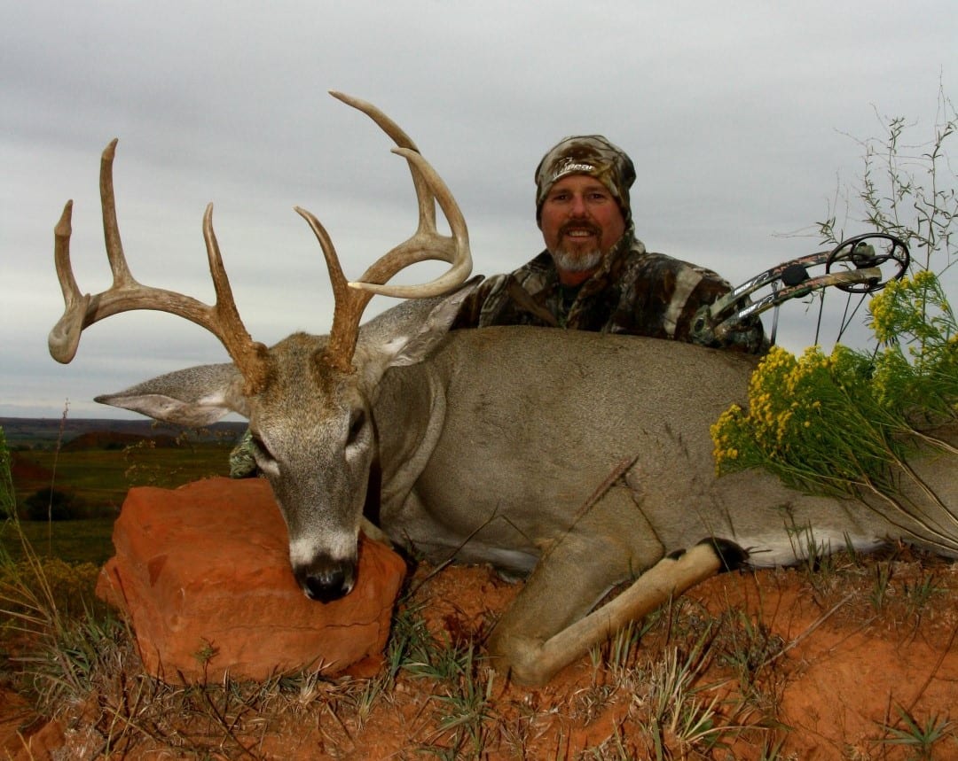Do Wider Broadhead Designs Kill Faster? | Bowhunting.com