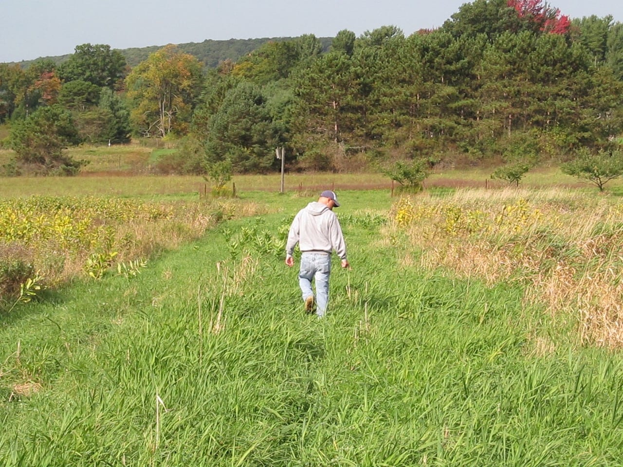 How to Do a Grid Search to Recover Your Deer | Bowhunting.com