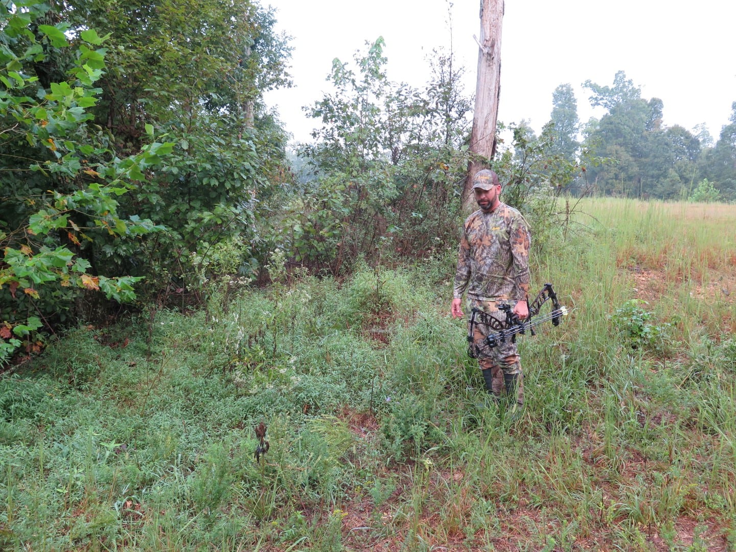 How to Do a Grid Search to Recover Your Deer | Bowhunting.com