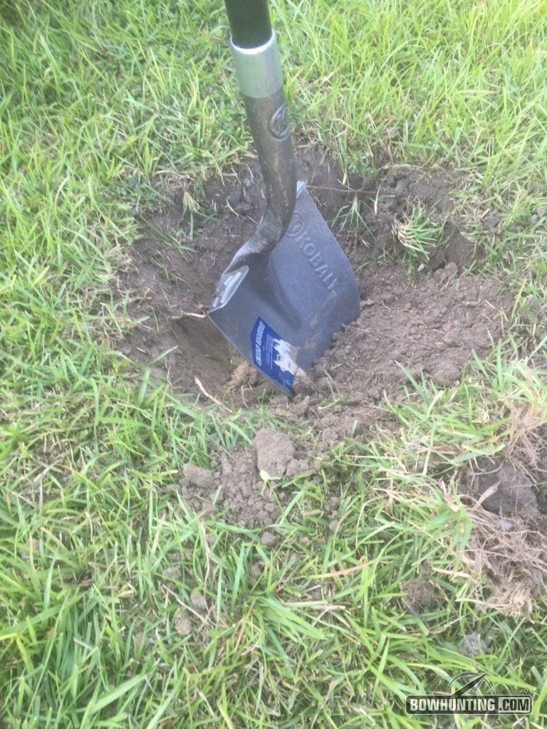 Planting Tree Plots | Bowhunting.com