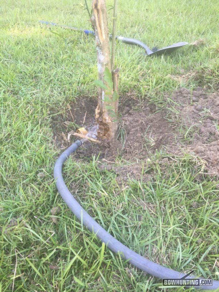 Planting Tree Plots | Bowhunting.com