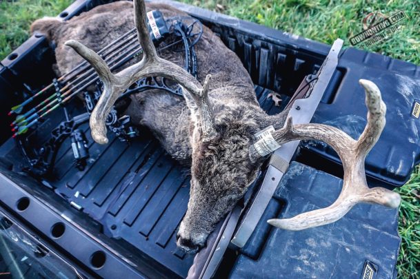 What's the Best Way to Haul a Deer Out of the Woods?