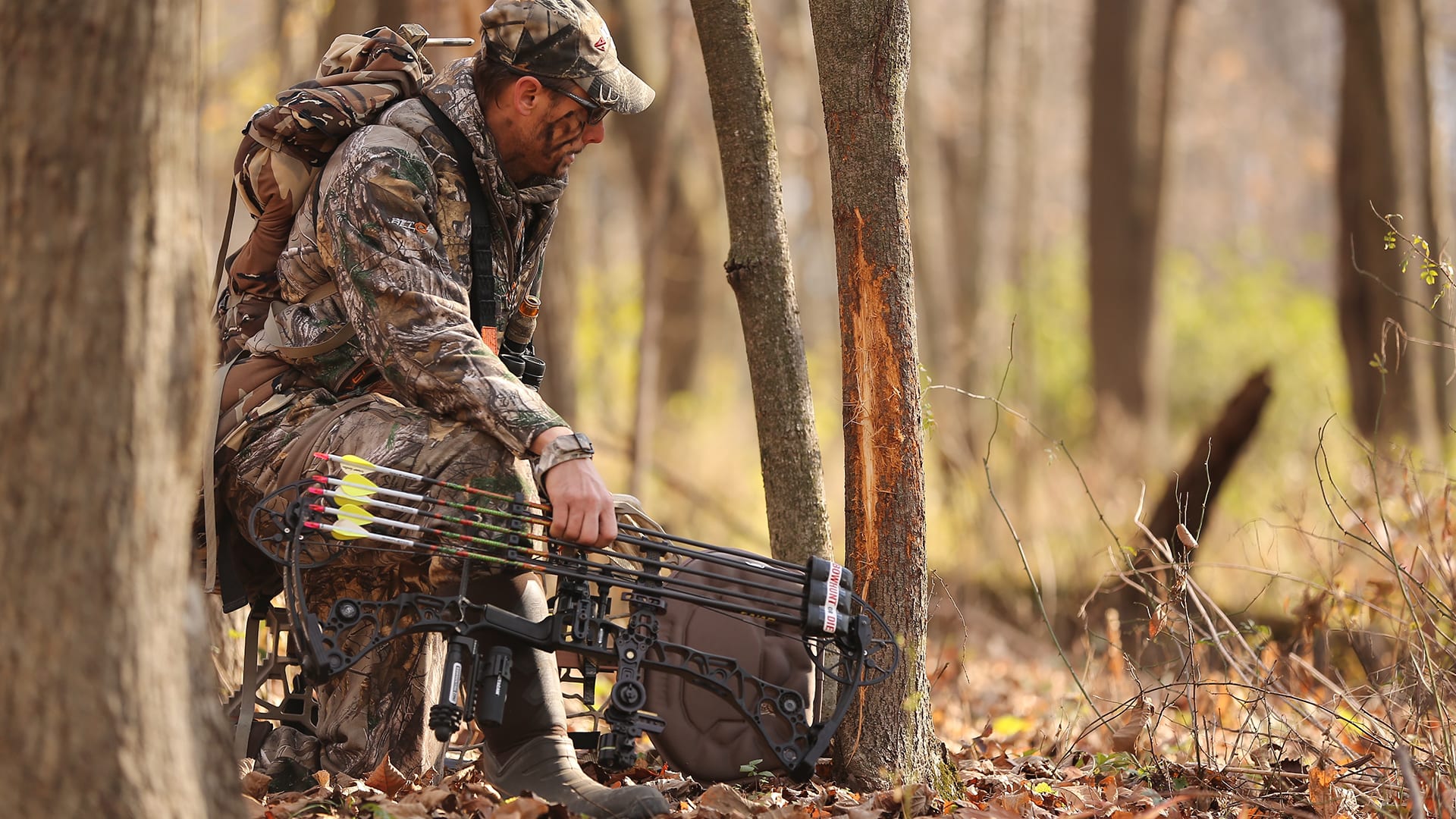 Fact or Fiction: Big Bucks Make Big Rubs | Bowhunting.com