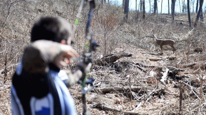How To Shoot Better 3-D Scores | Bowhunting.com