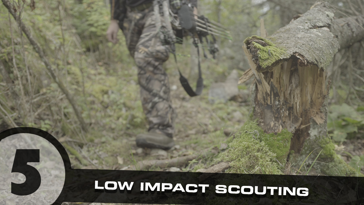 Scouting Whitetail Deer Part 5: Low Impact Scouting | Bowhunting.com