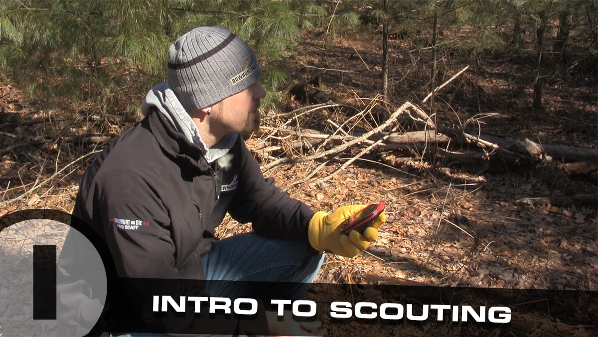Scouting Whitetail Deer Part 1 : Intro To Scouting | Bowhunting.com