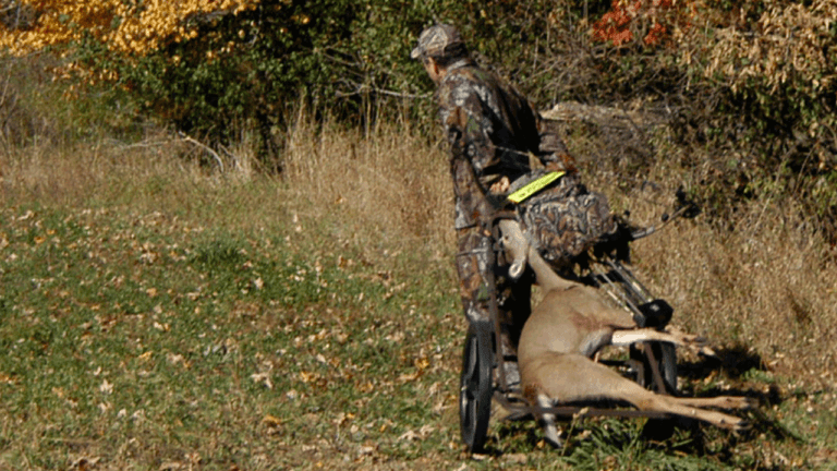 What's the Best Way to Haul a Deer Out of the Woods?