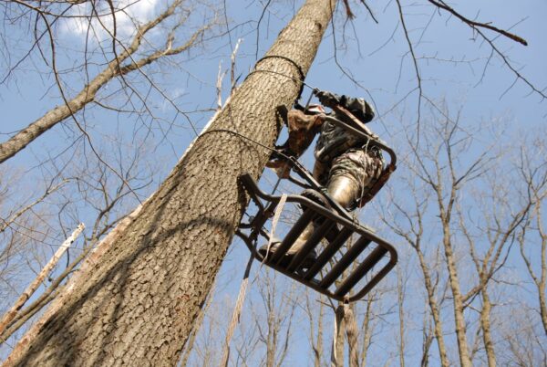 How To Use A Climbing Treestand | Bowhunting.com
