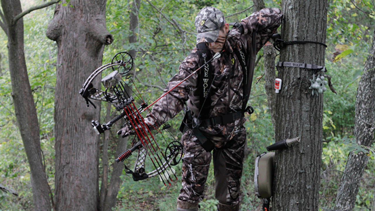Why Did You Miss? I Bet It Wasn't Your Bow | Bowhunting.com