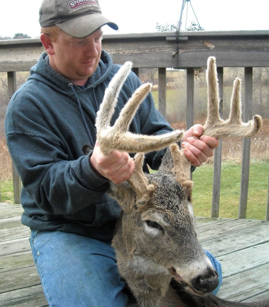 What is a Cryptorchid Buck? | Bowhunting.com