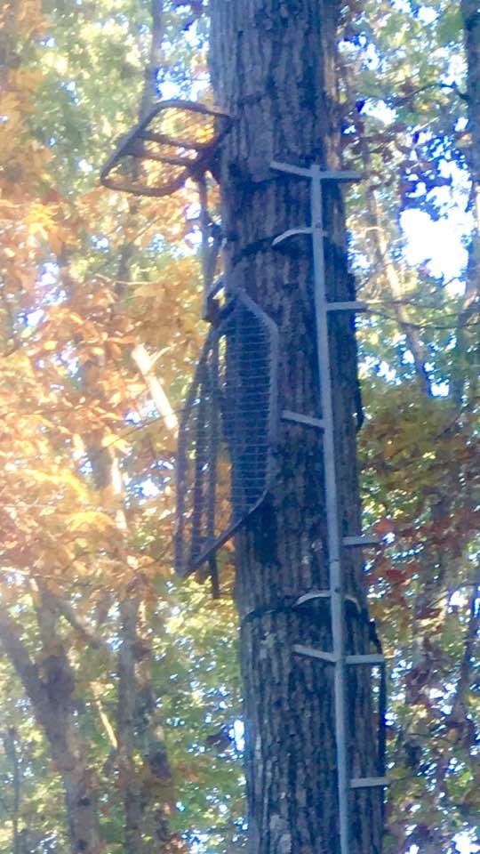 HSS Lifeline Saves Rob Kaufhold's Life | Bowhunting.com