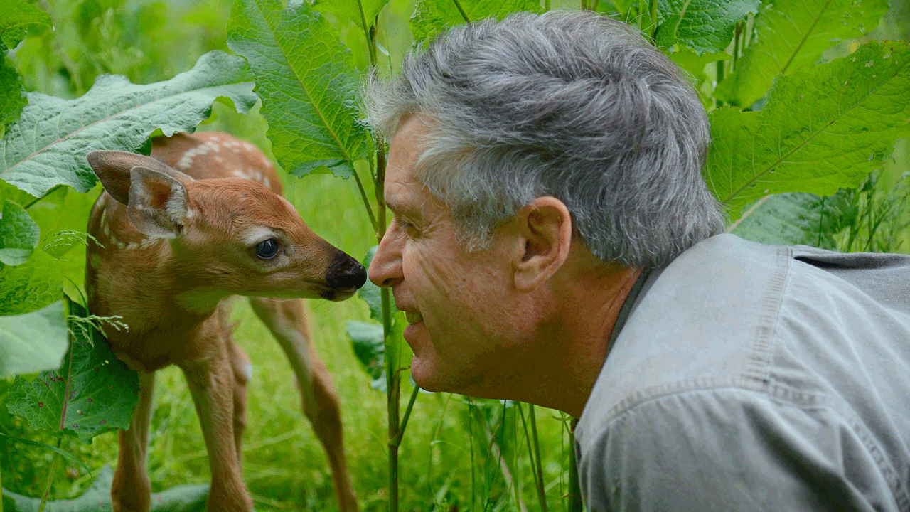 Alsheimer Leaves the Woods Too Soon | Bowhunting.com