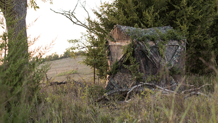New Ground Blind Designs with the Ameristep Deadwood Stump | Bowhunting.com