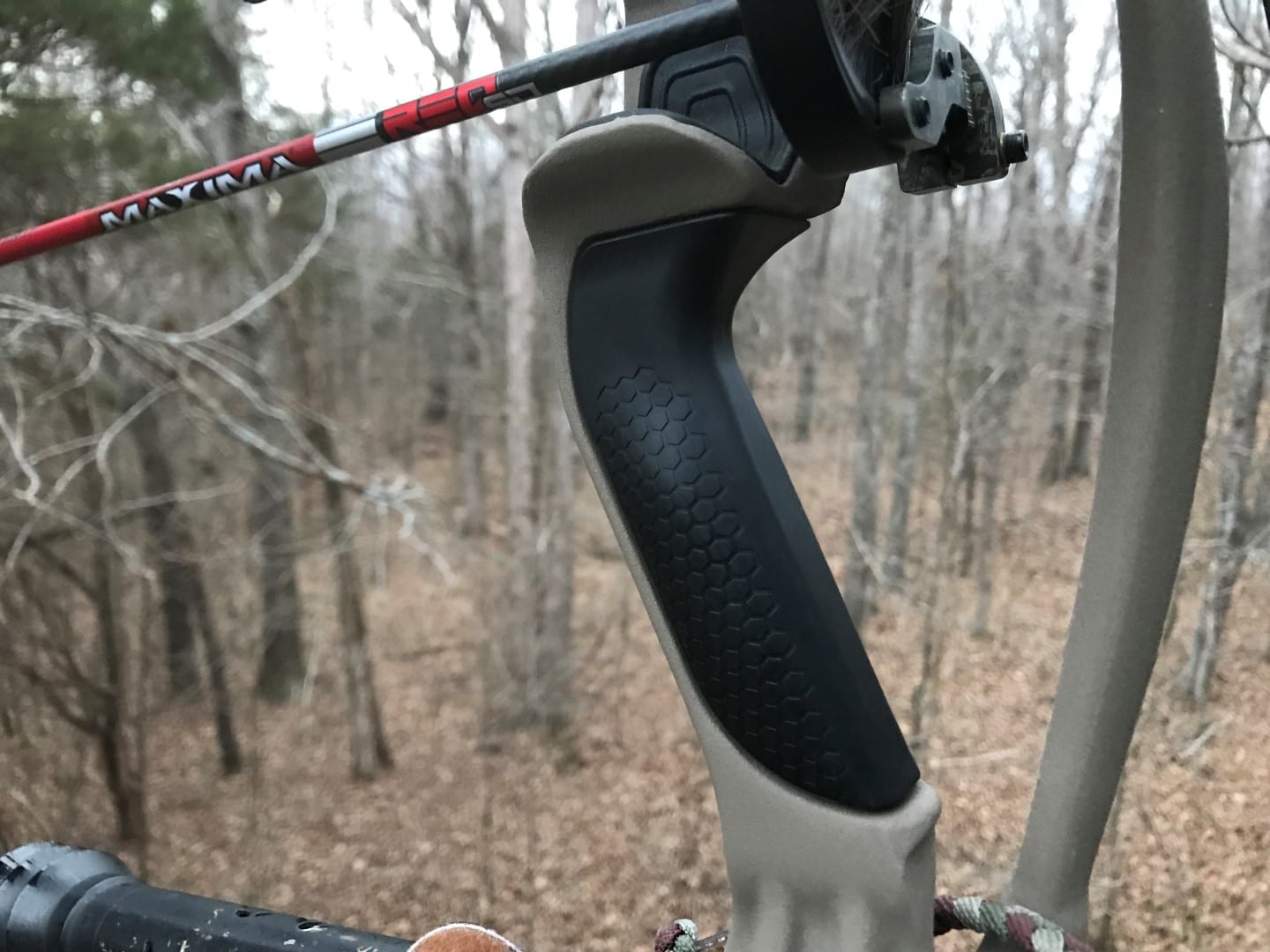Hoyt Carbon RX-1 Bow Review