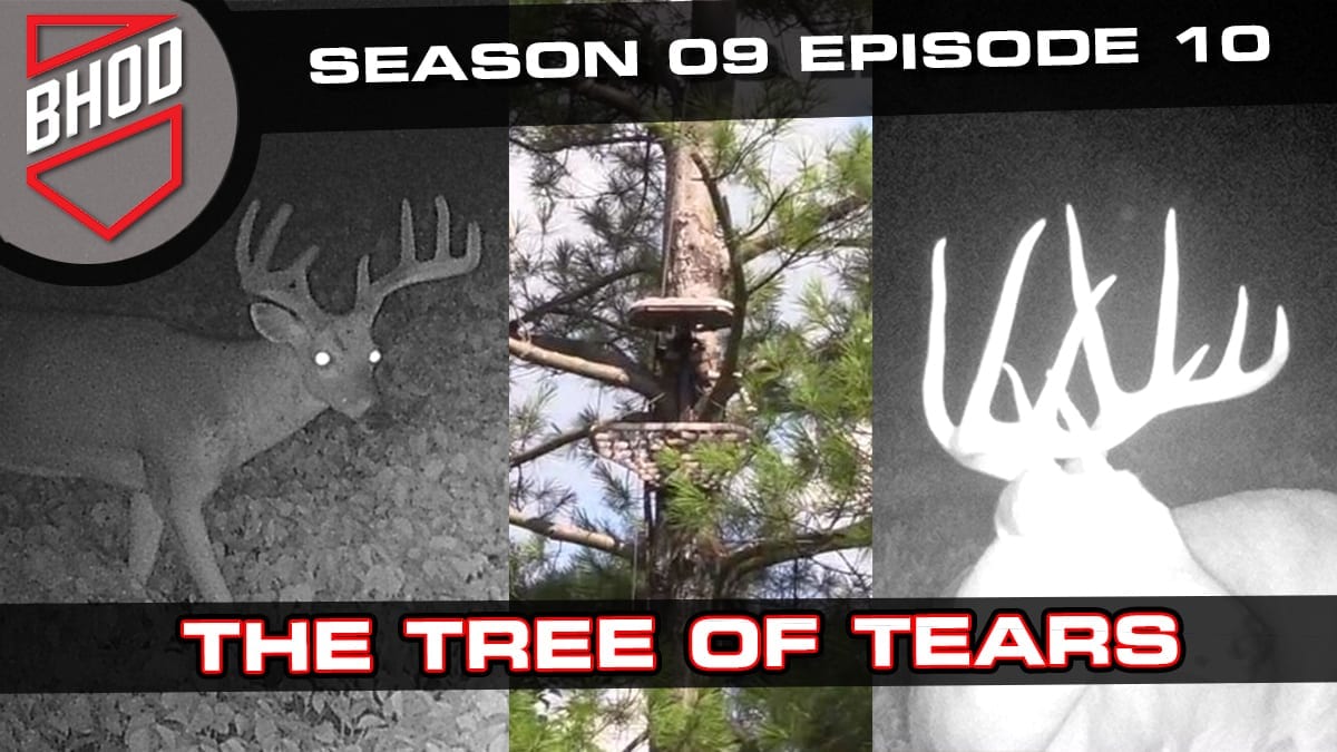 Episode 10: The Tree of Tears | Bowhunting.com