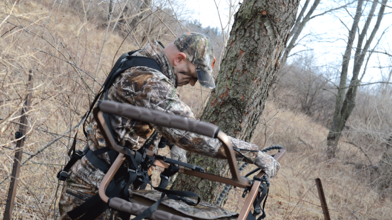 Treestand Basics: 4 Stand Styles Every Hunter Should Know