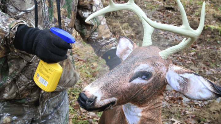 How to Position Your Deer Decoy During the Rut