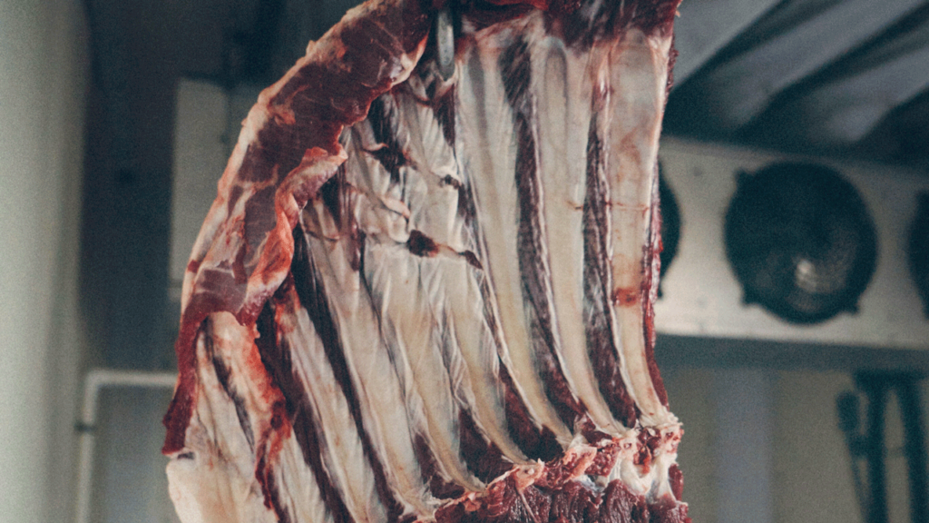 Best Wild Game Meat to Eat