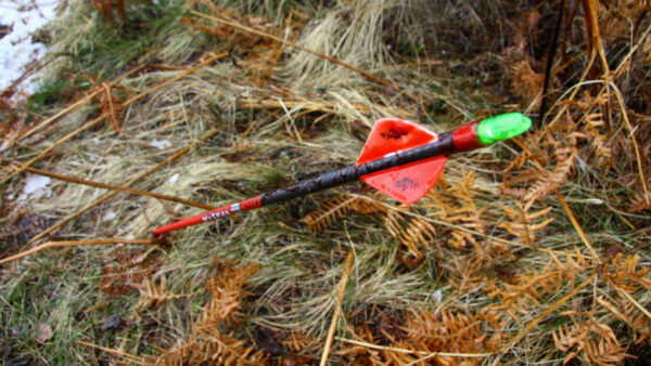 7 Bad Shots Hunters Make and What to do When They Happen