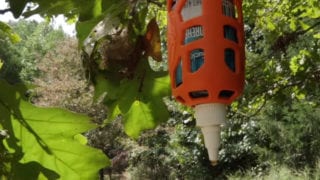 Buck Bomb Scrape Kit Plus Review