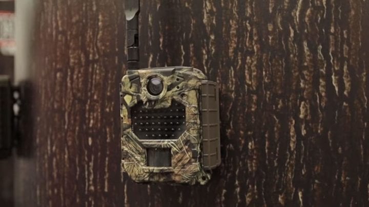 Top New Trail Cameras for 2020 | Bowhunting.com
