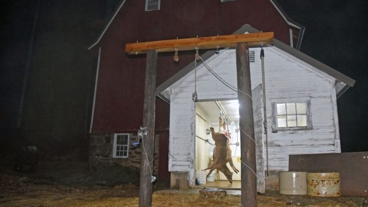 From Dairy Barn to Deer Skinning Shed | Bowhunting.com