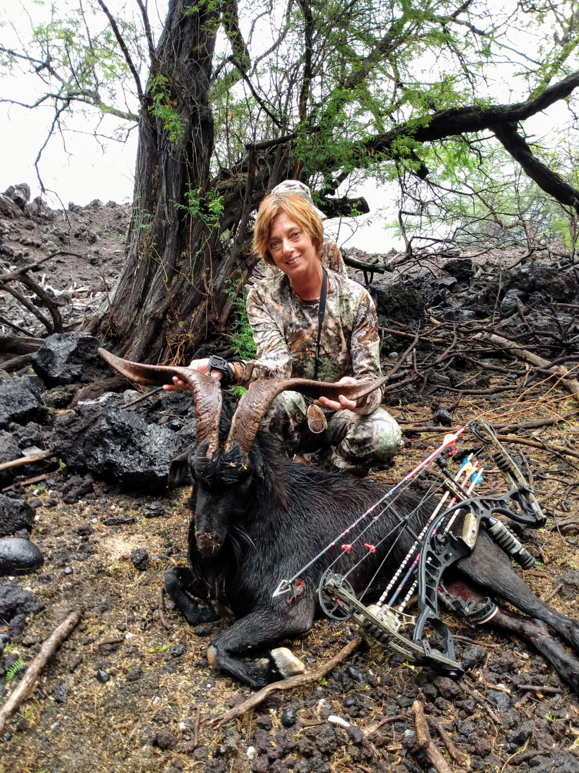 Hawaiian goat in Hawaii by Kathy Owen | Bowhunting.com