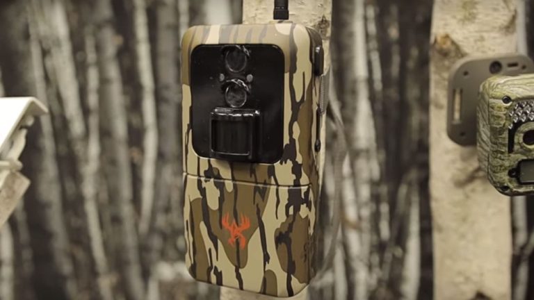 Top New Trail Cameras for 2020 | Bowhunting.com