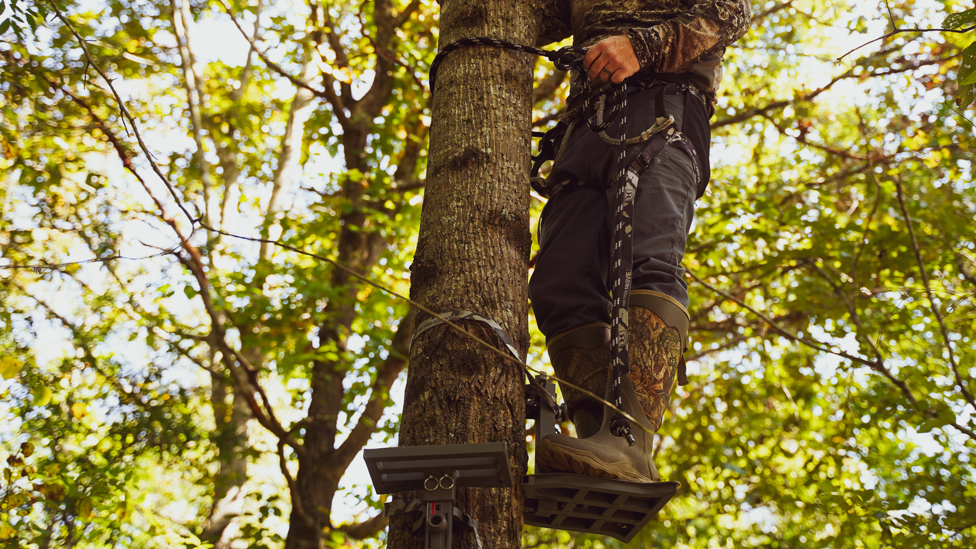 Hawk Helium Hammock Saddle & Platform Review